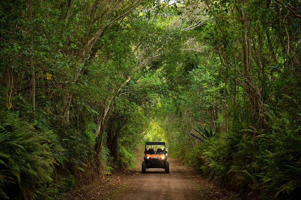 Explore the Rugged Beauty of Kauai at Kipu Ranch | Kipu Ranch Adventures